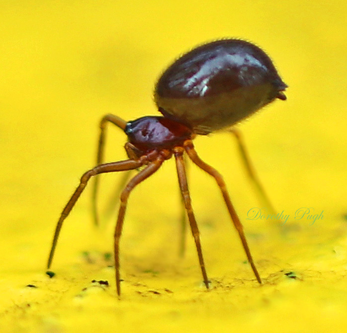 December 2018 Photos