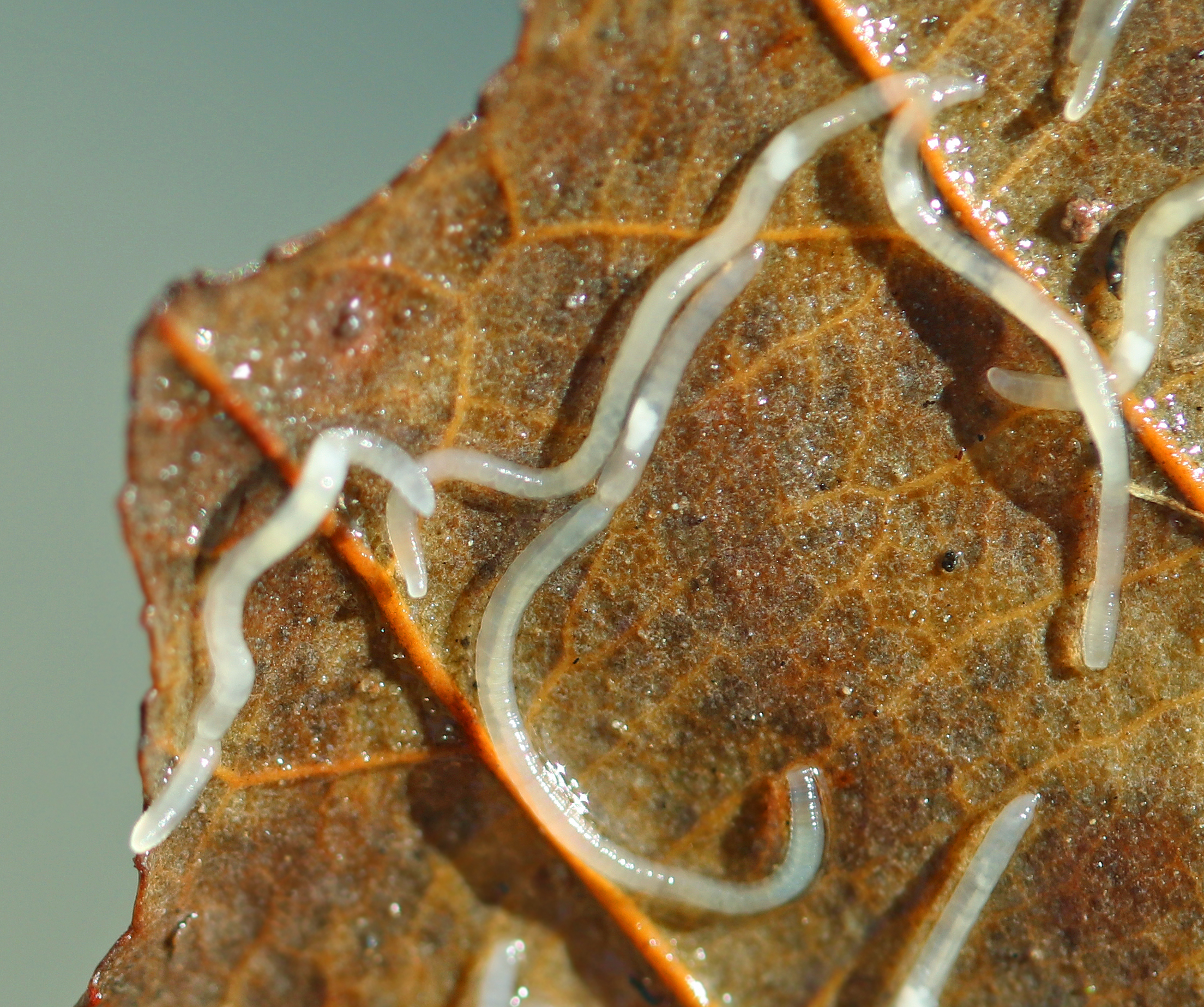 November 2019 Photos